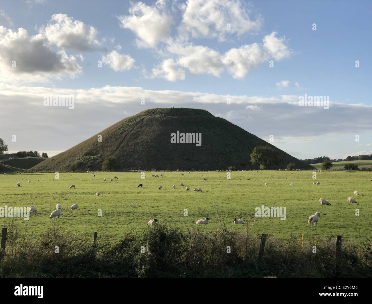 A view of Silbury Hill, prehistoric chalk mound, with sheep in a meadow ...
