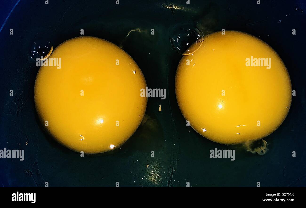 Fresh egg hi-res stock photography and images - Alamy