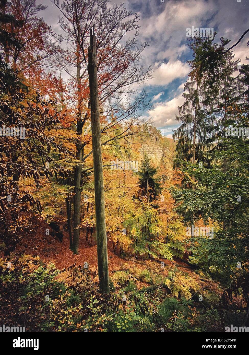 Colors of autumn Stock Photo - Alamy