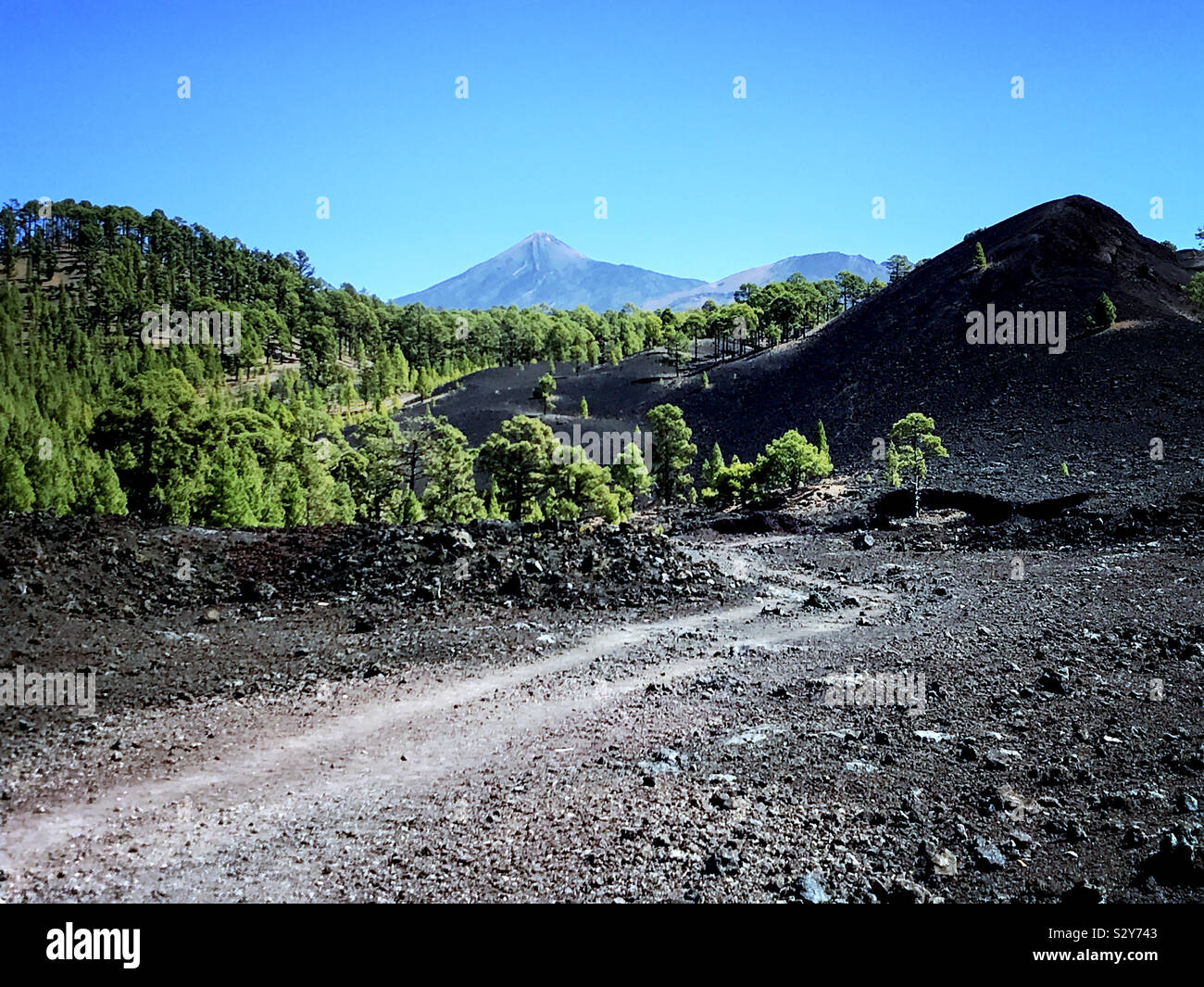 Tenerife Chinyero Volcano High Resolution Stock Photography and Images ...