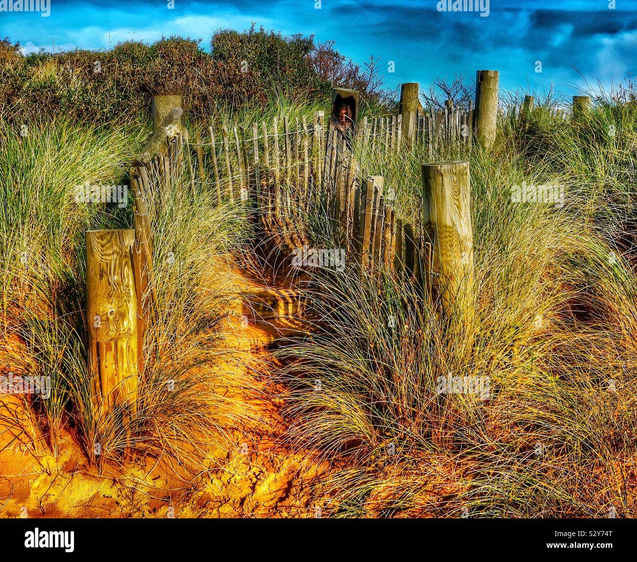 Grass pathway hi-res stock photography and images - Alamy