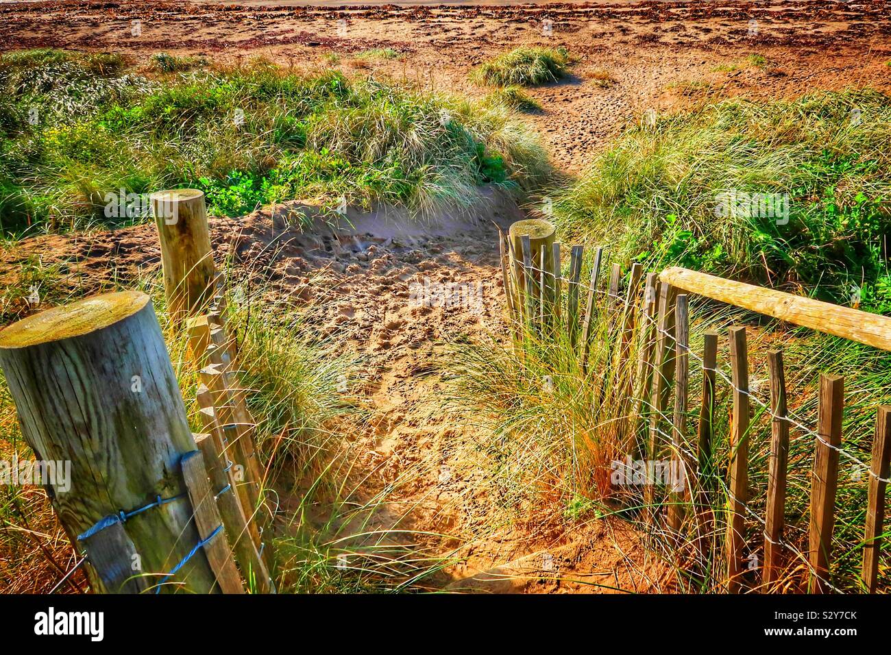 Scenic pathway sandy beach hi-res stock photography and images - Alamy