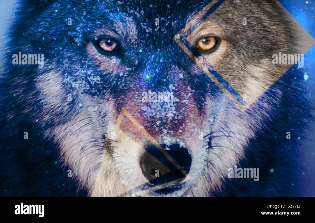 Wolves #wolf #space #universe #geometry Stock Photo - Alamy