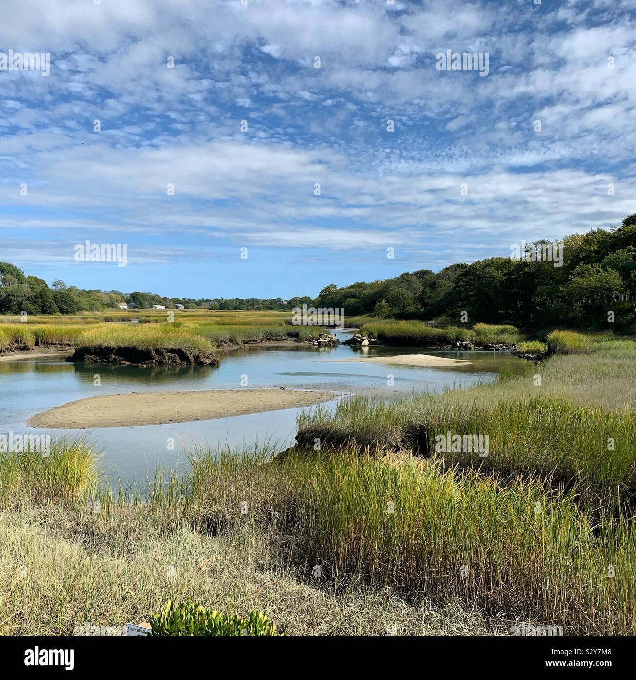Wetlands, Barnstable, Cape Cod, Massachusetts, United States Stock ...