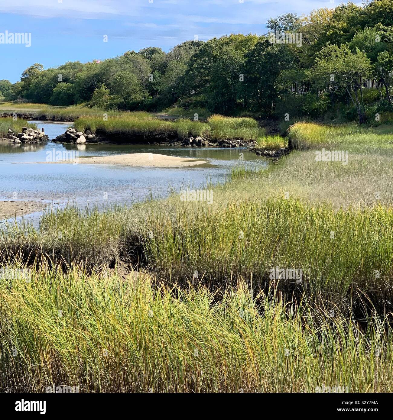Wetlands, Barnstable, Cape Cod, Massachusetts, United States Stock ...