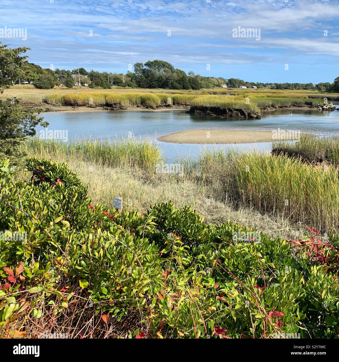 Wetlands, Barnstable, Cape Cod, Massachusetts, United States Stock ...