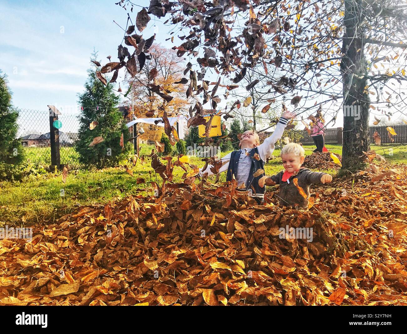 Children playing in pile of leaves Stock Photo - Alamy