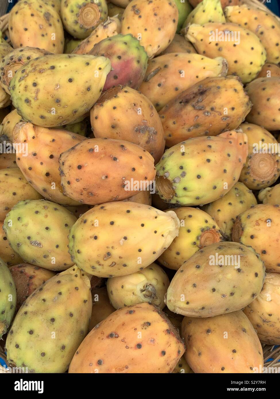 Pickly pears at the fruit market Stock Photo - Alamy