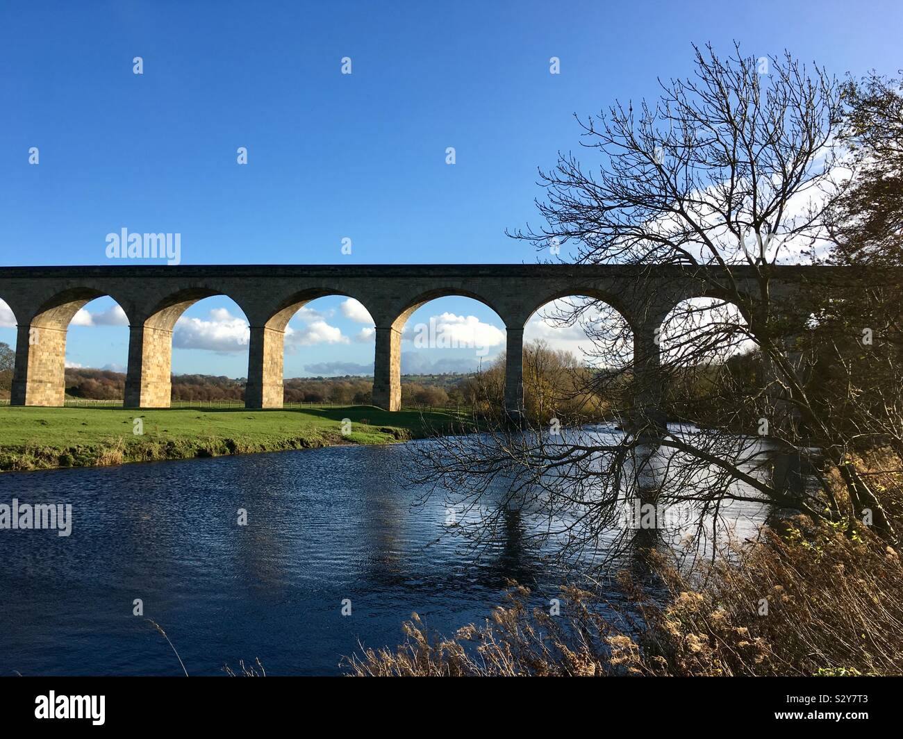 Arthington hi-res stock photography and images - Alamy