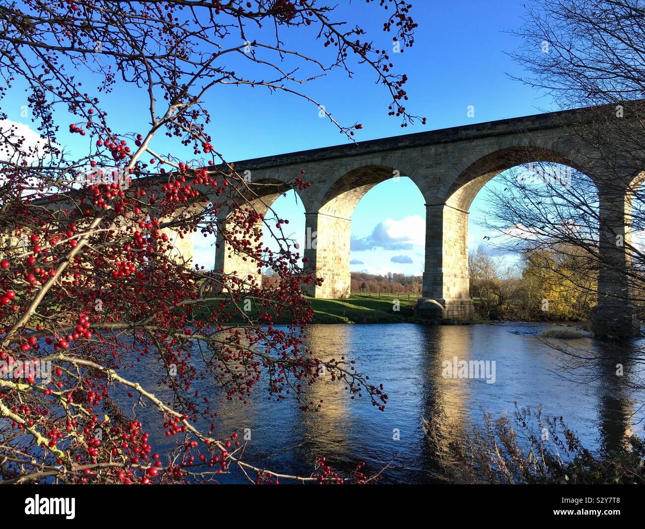 Arthington hi-res stock photography and images - Alamy
