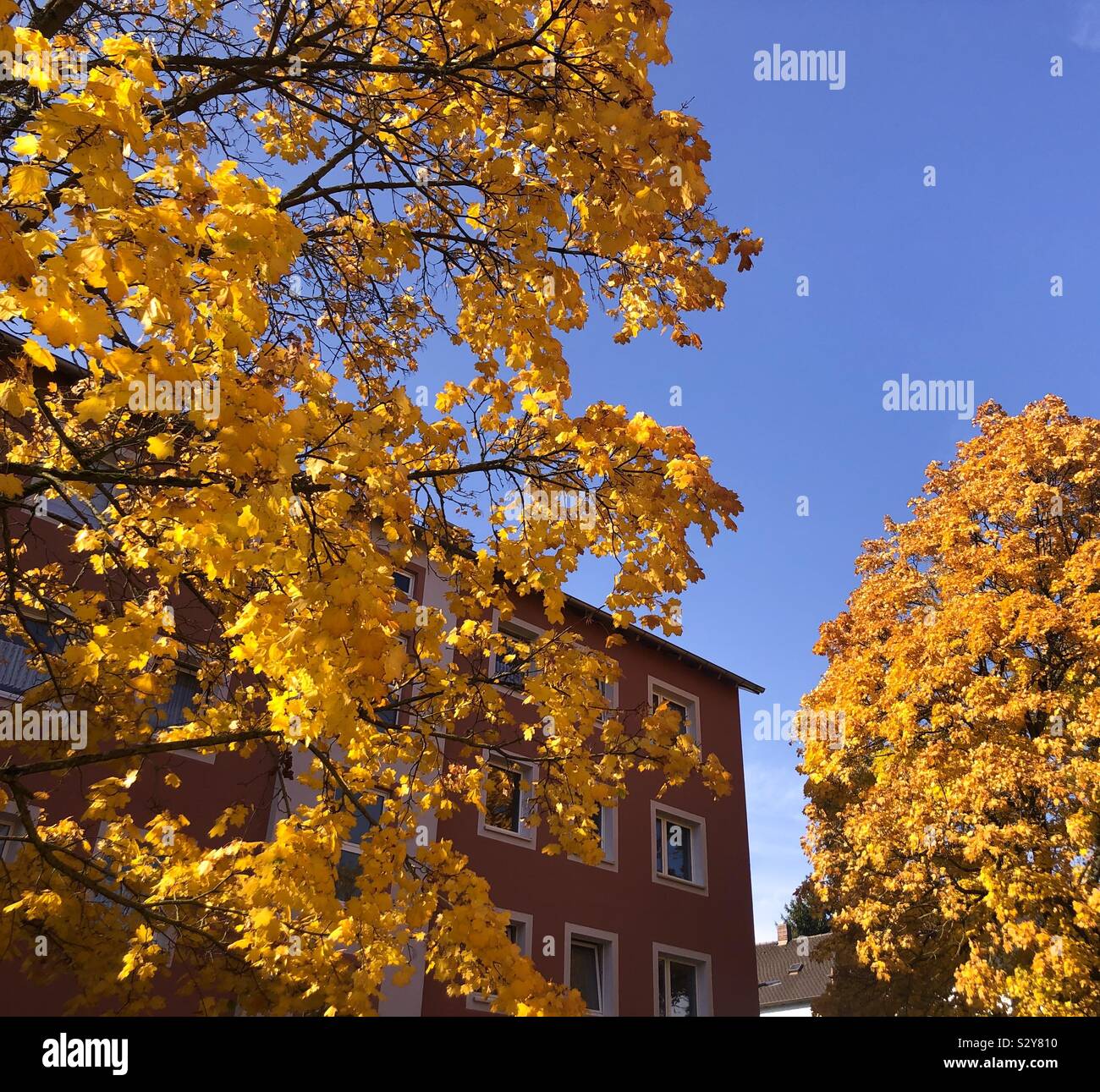 Secondsummer hi-res stock photography and images - Alamy