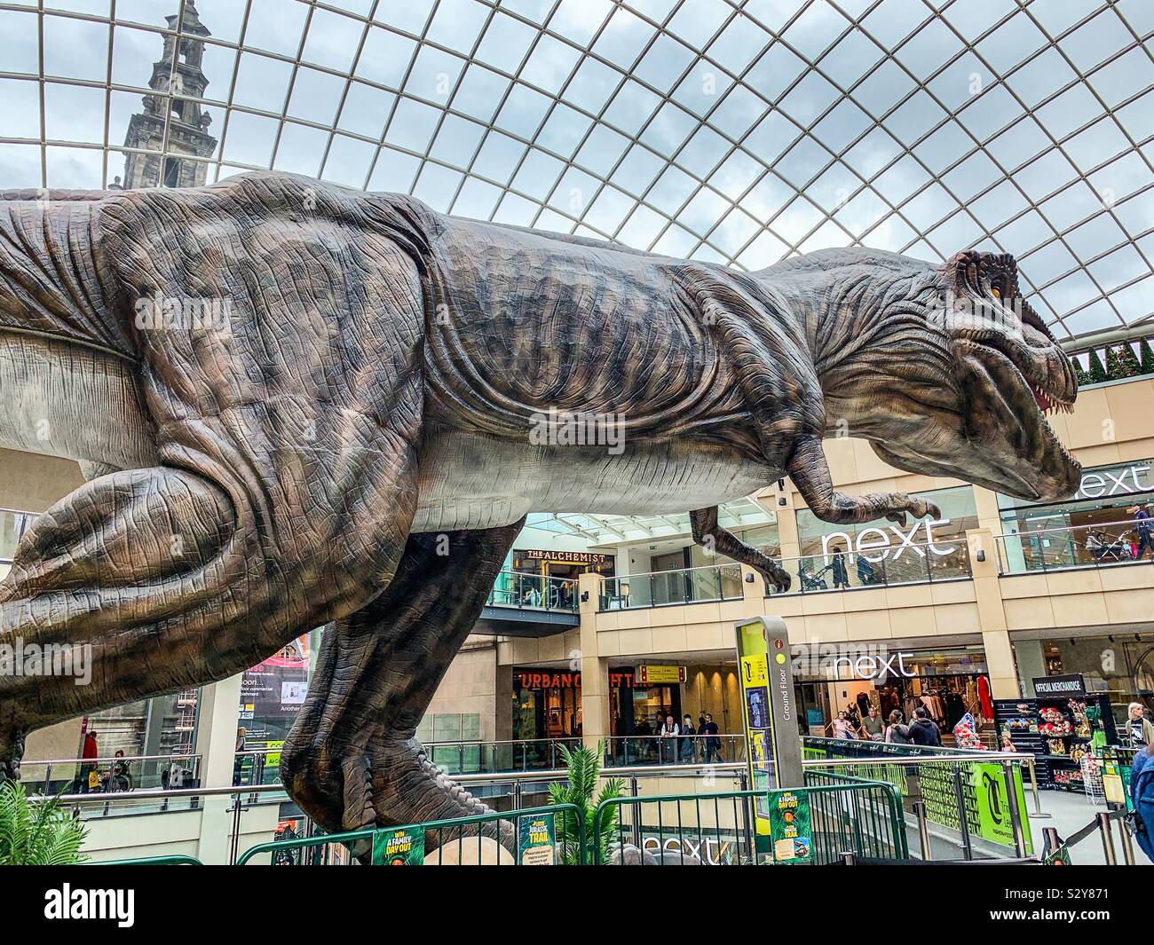 Life size model of a Tyrannosaurus rex at T-Rex Trinity Leeds shopping ...