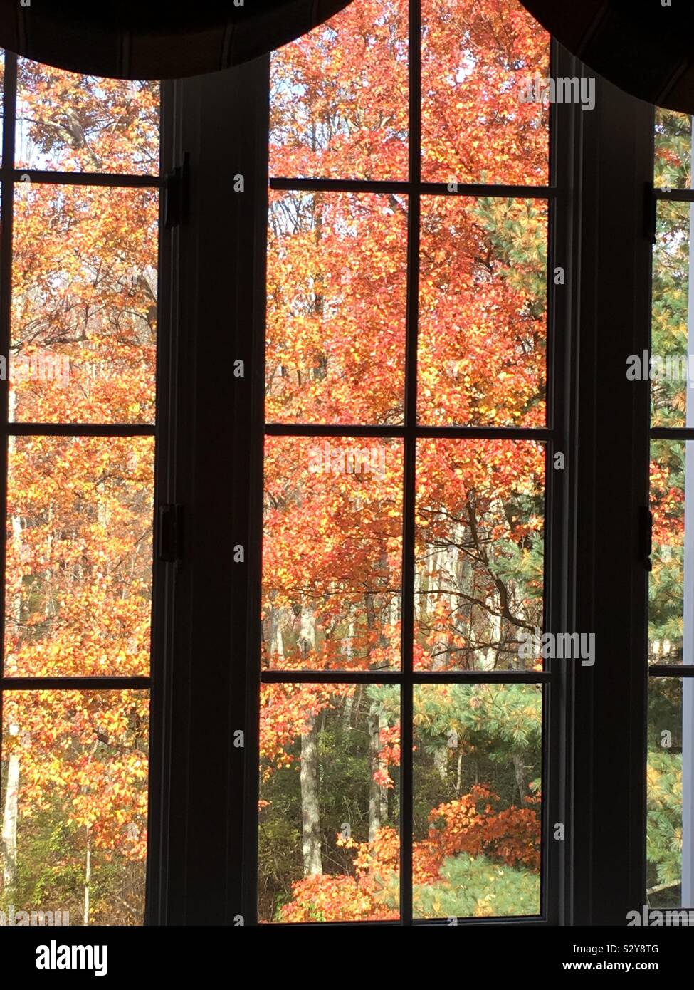 Fall From Window High Resolution Stock Photography and Images - Alamy