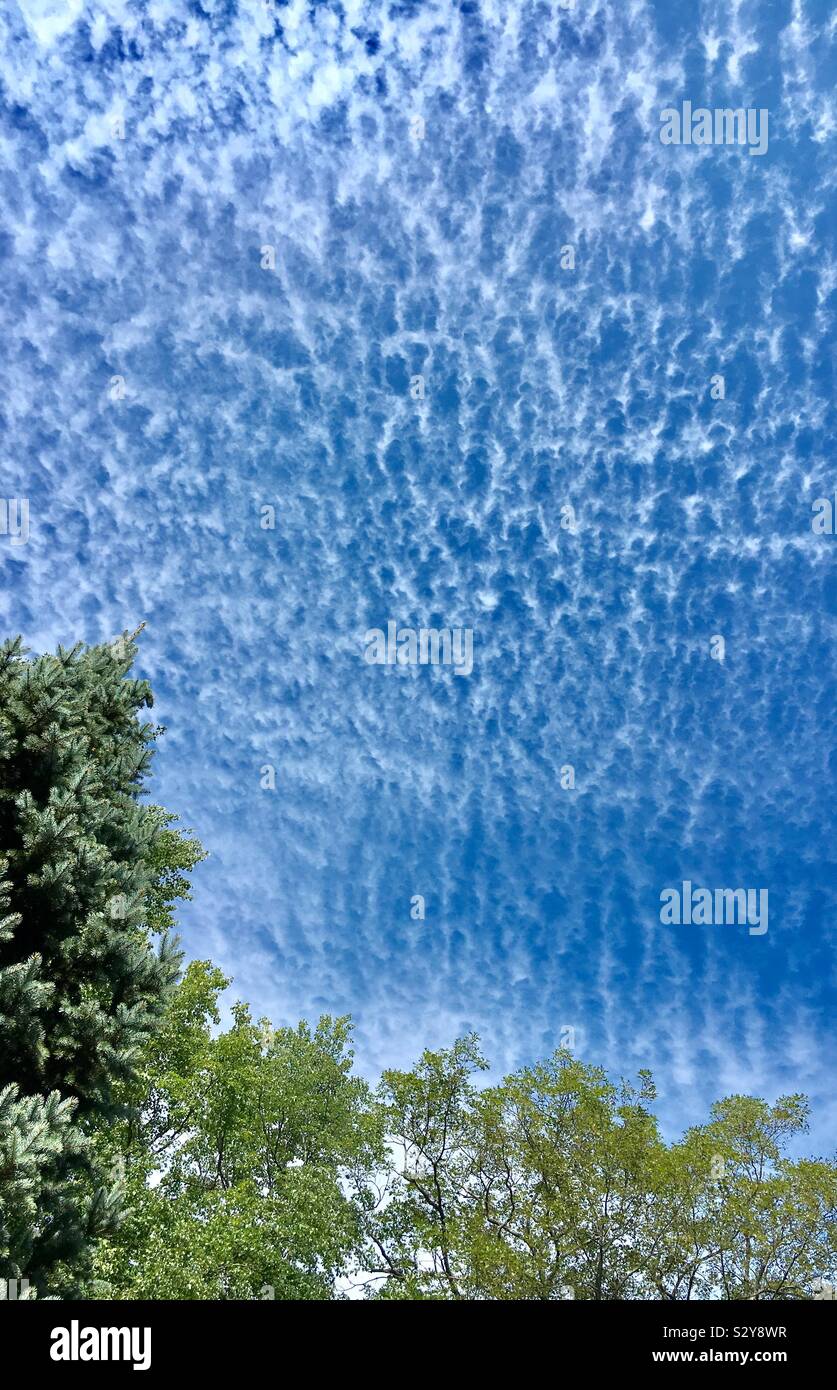 Unusual shape of clouds Stock Photo - Alamy
