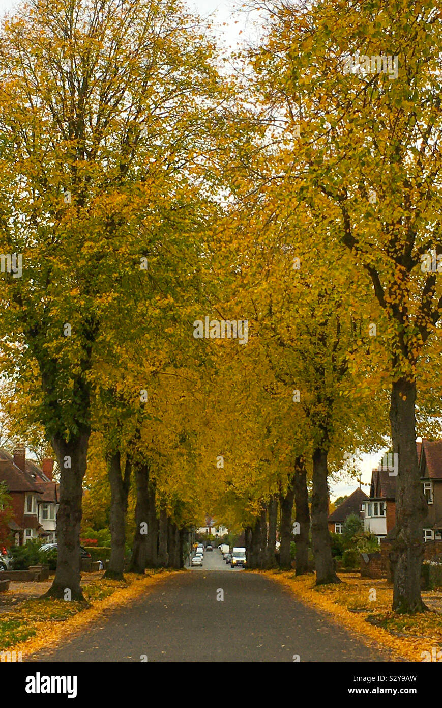 An Autumnal street scene Stock Photo - Alamy