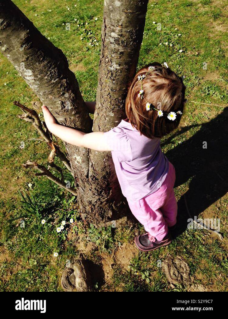 Toddler hugging a tree Stock Photo - Alamy