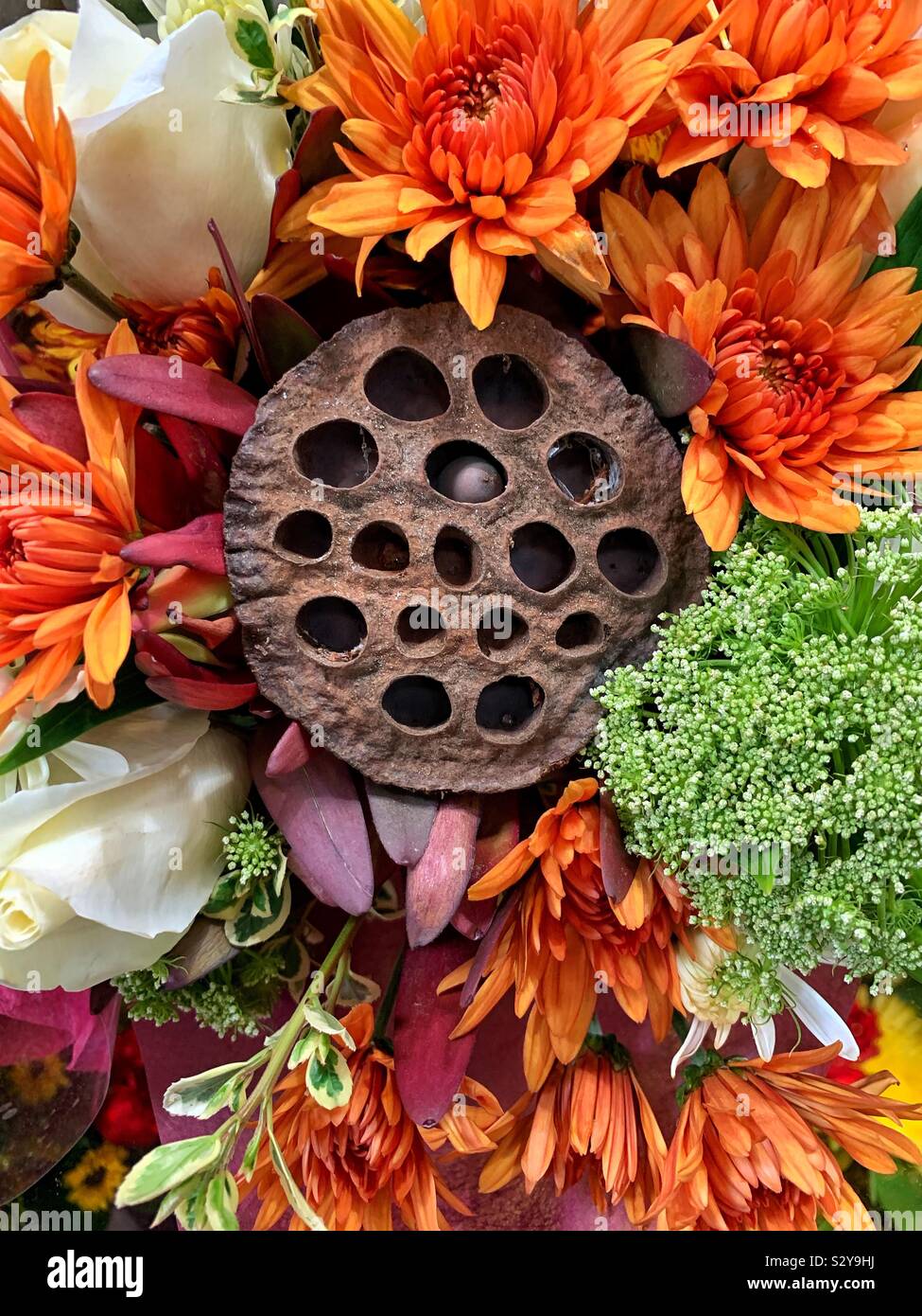Beautiful bouquet of fresh fall flowers Stock Photo - Alamy