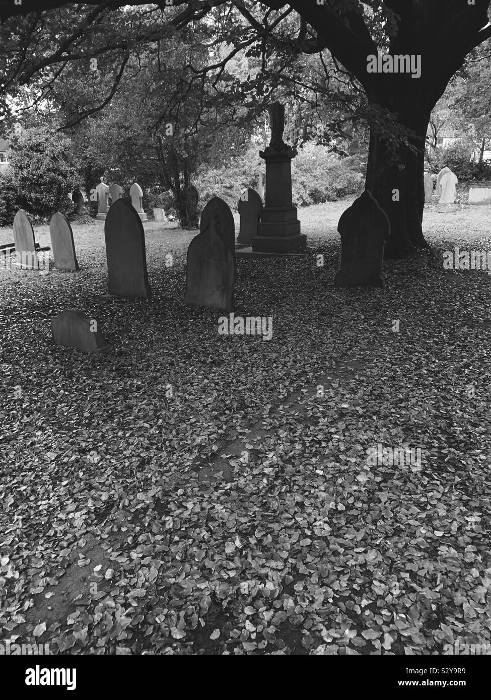 An old forgotten graveyard Stock Photo - Alamy