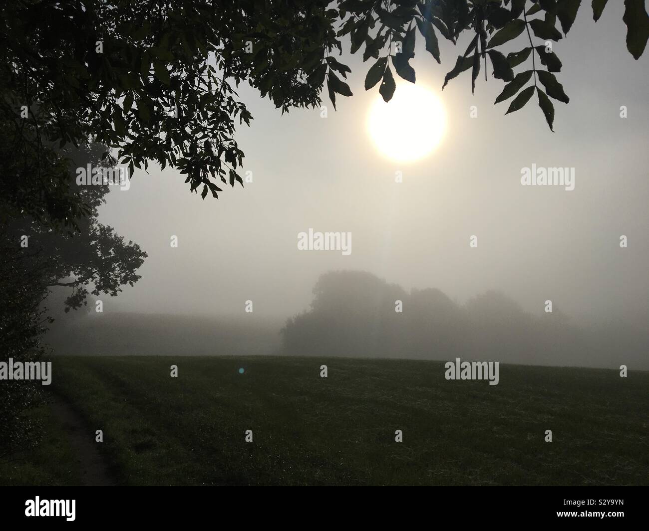 October morning in England Stock Photo - Alamy
