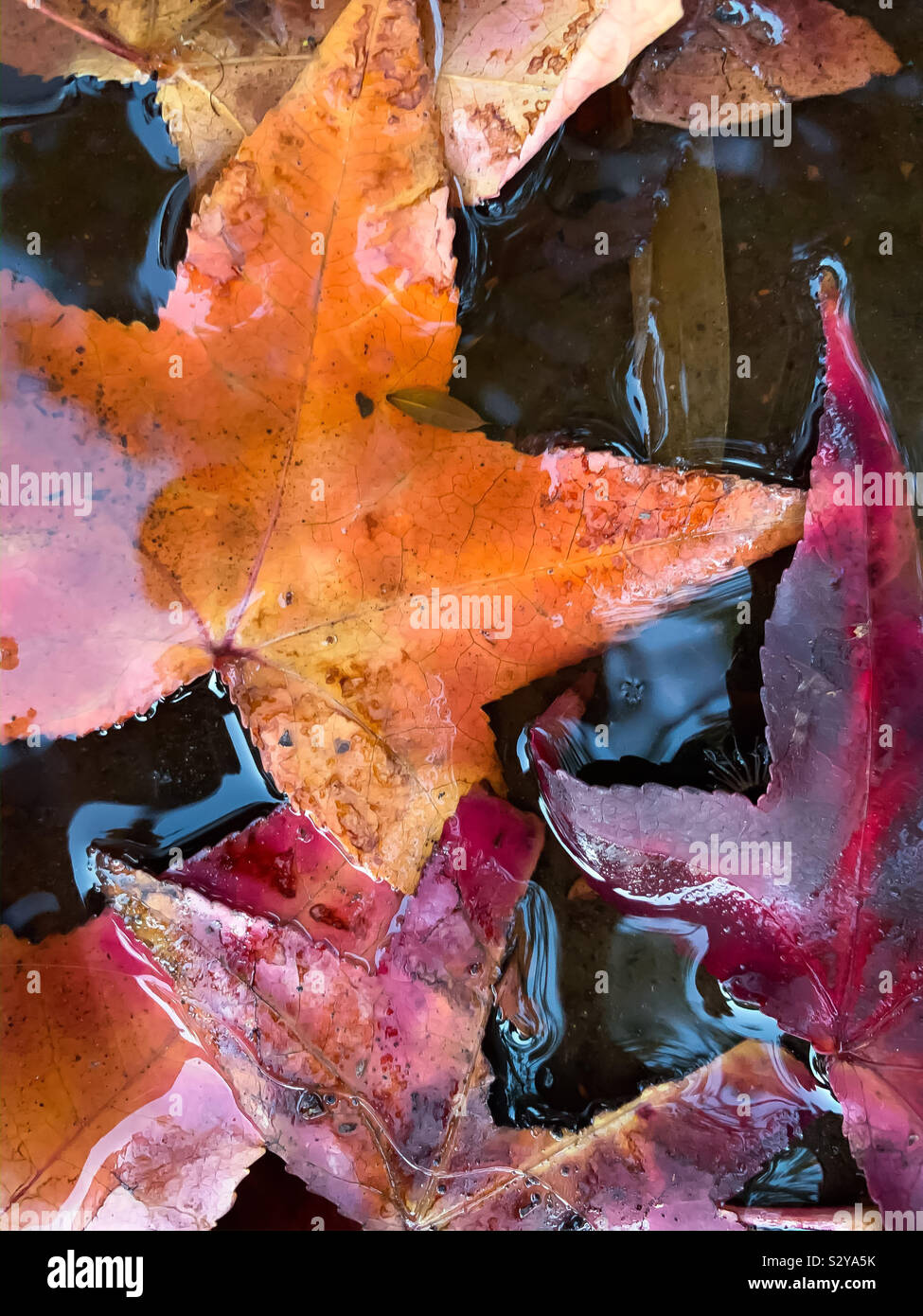 Red Water Texture High Resolution Stock Photography and Images - Alamy