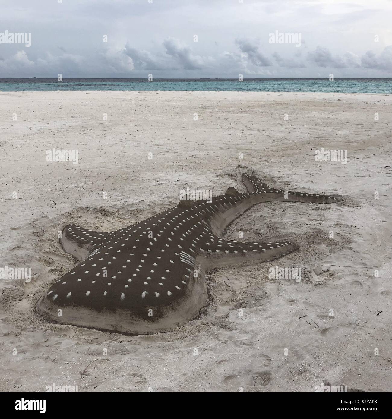 Whale shark sand castle Stock Photo - Alamy