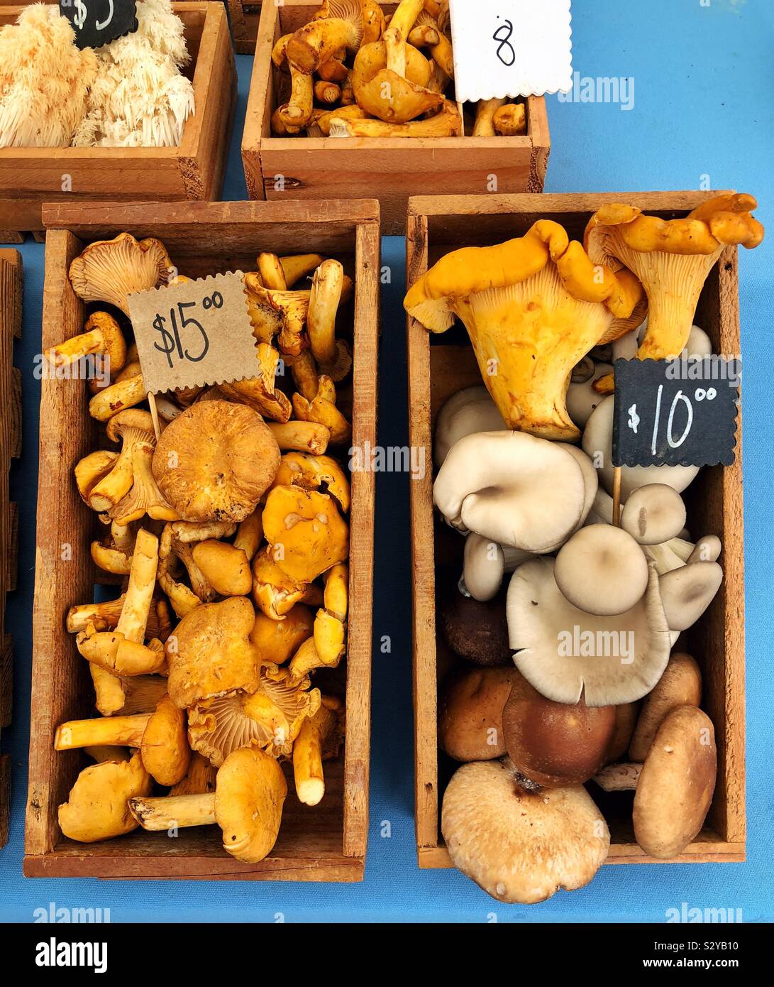 Foraged food plants hi-res stock photography and images - Alamy