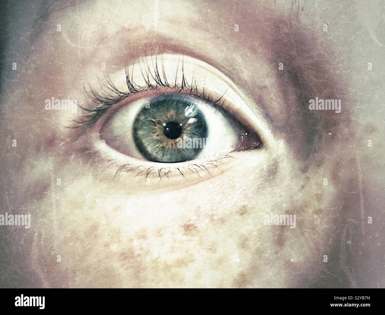 Hazel eye hi-res stock photography and images - Alamy