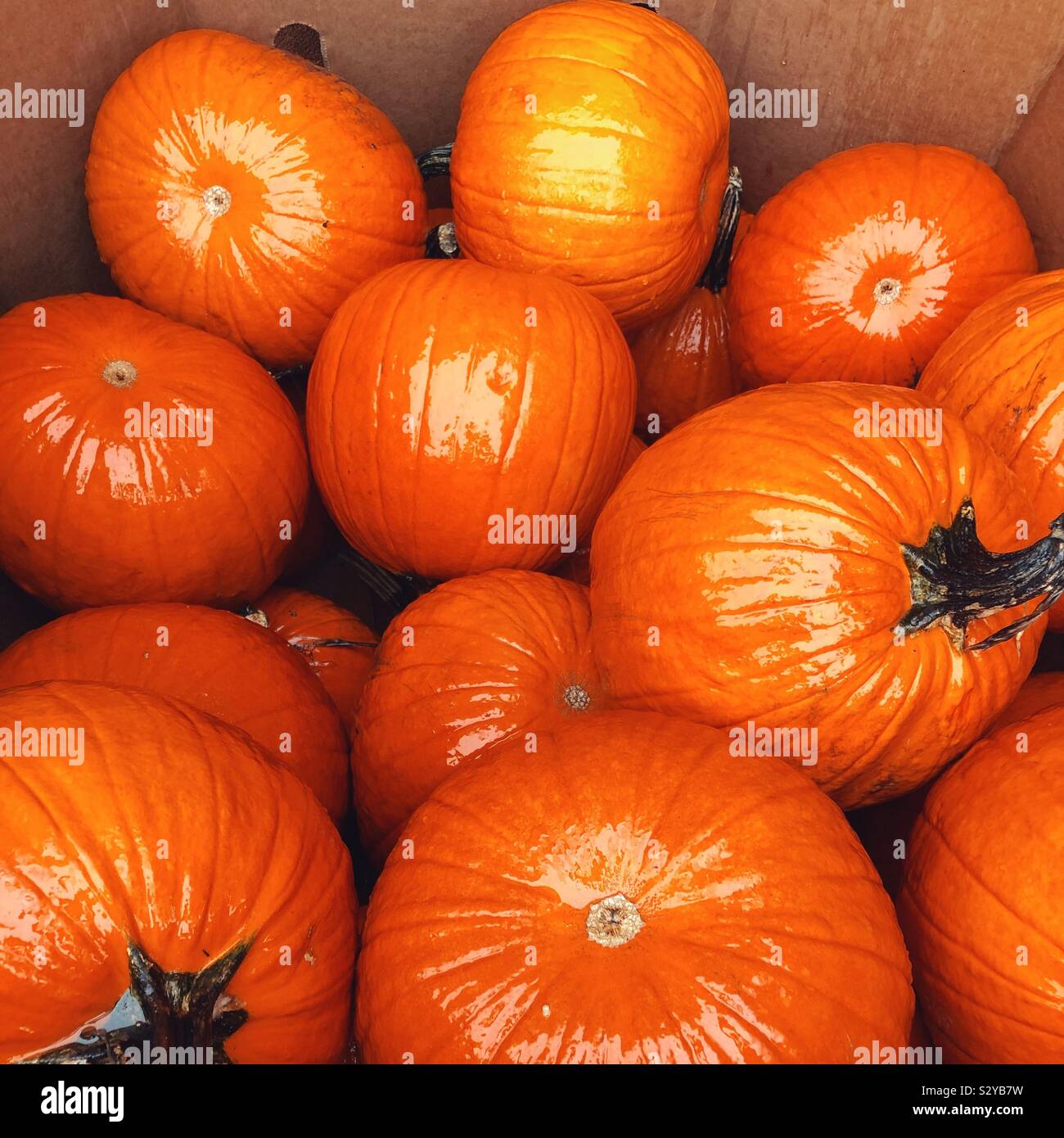 Rain box hi-res stock photography and images - Alamy