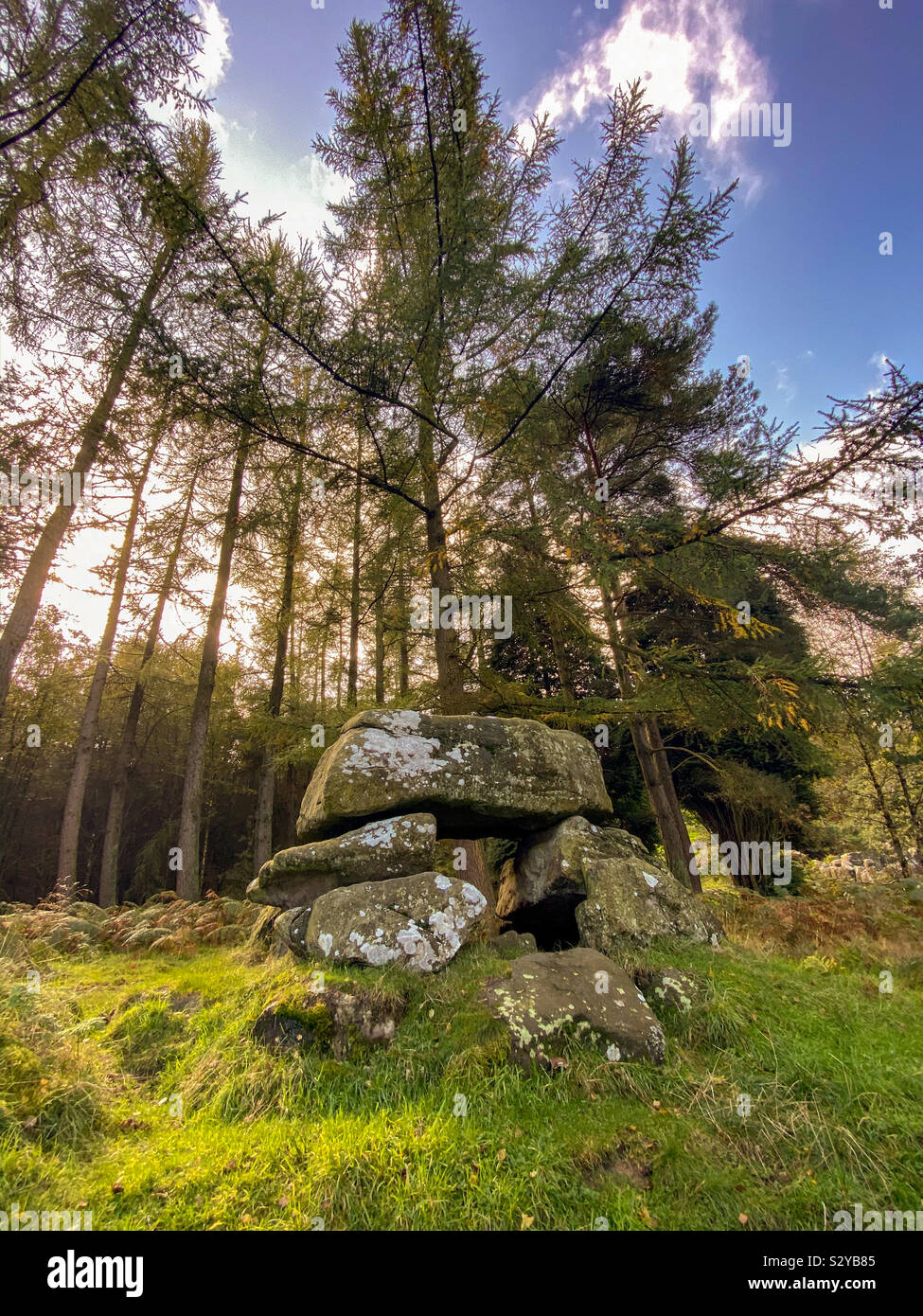 The Druids Temple High Resolution Stock Photography and Images - Alamy