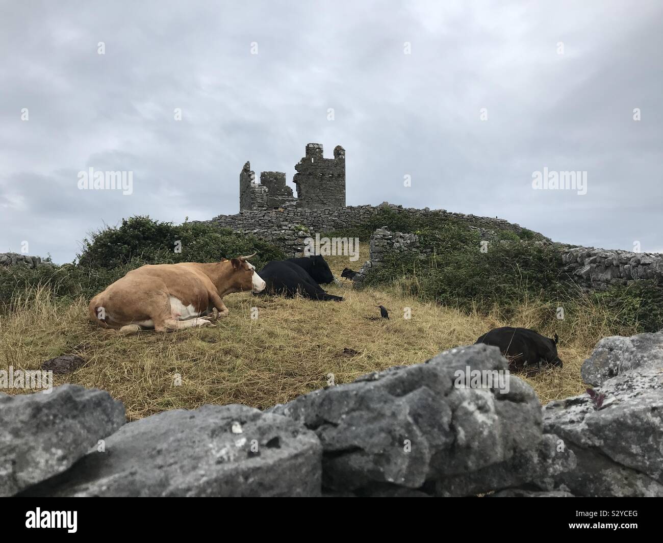 Inisheer island hi-res stock photography and images - Alamy