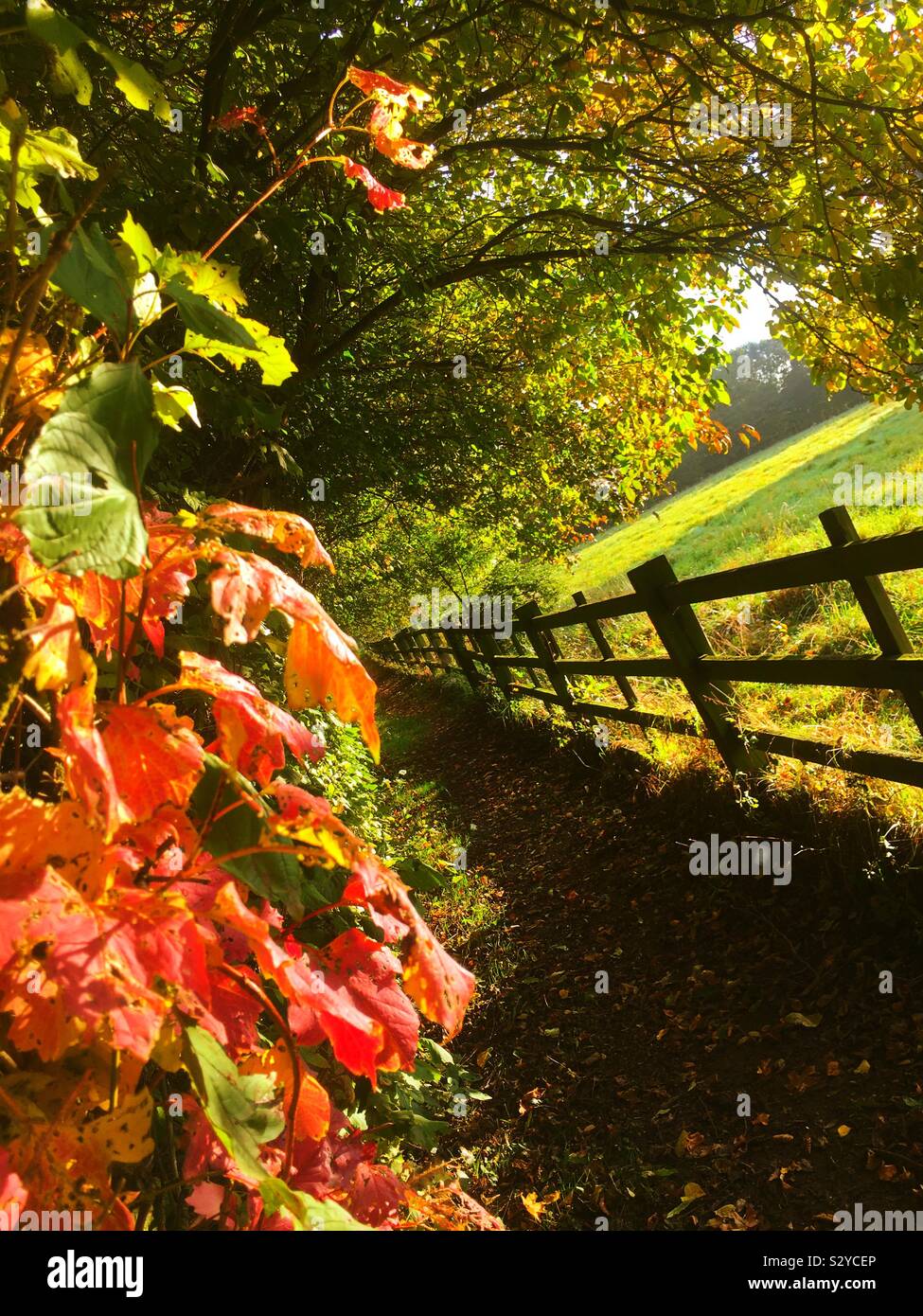 Coat of many colours Stock Photo - Alamy