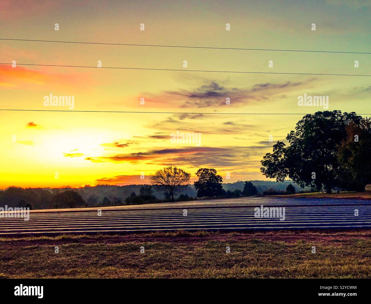 North Carolina Farm High Resolution Stock Photography and Images - Alamy