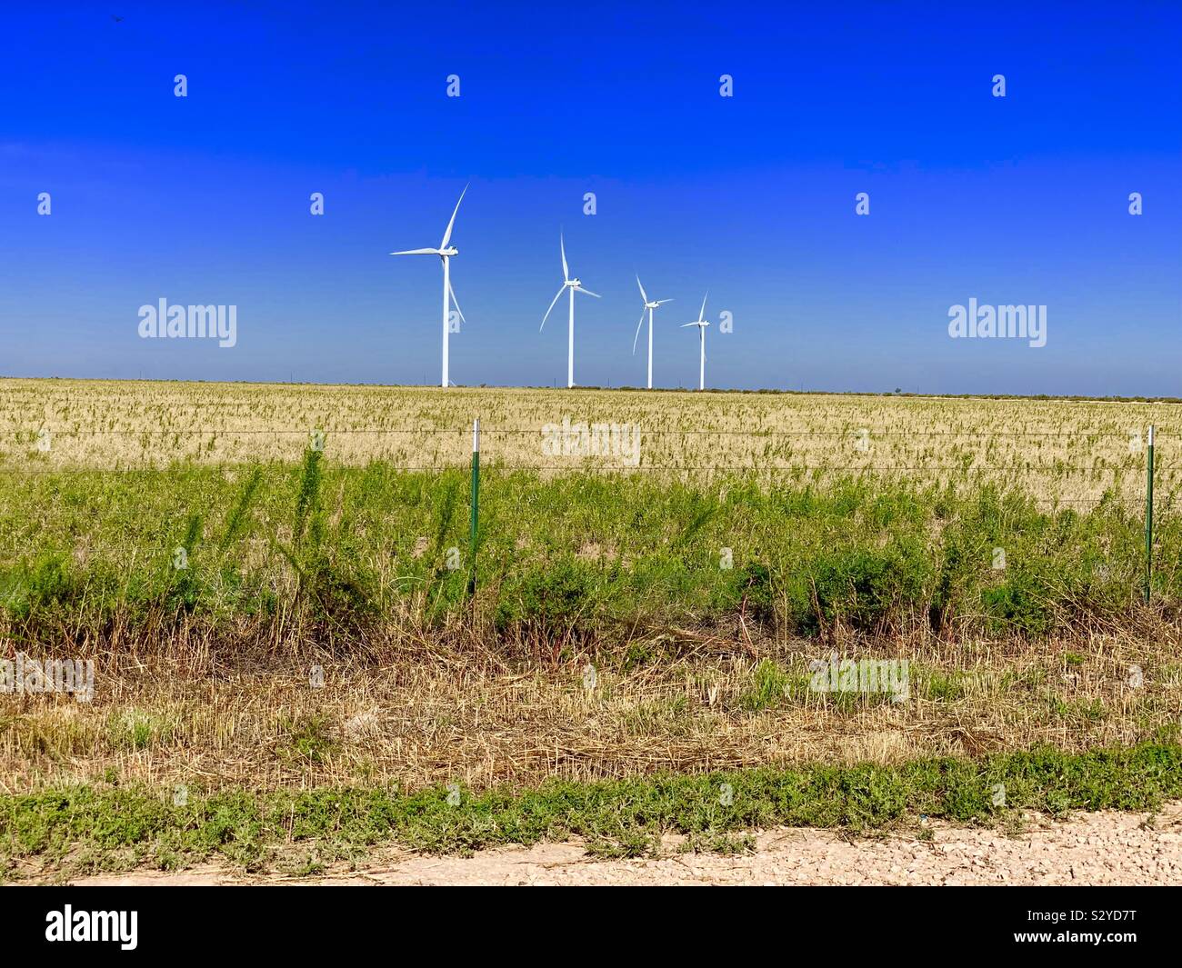 Texas wind farm Stock Photo - Alamy