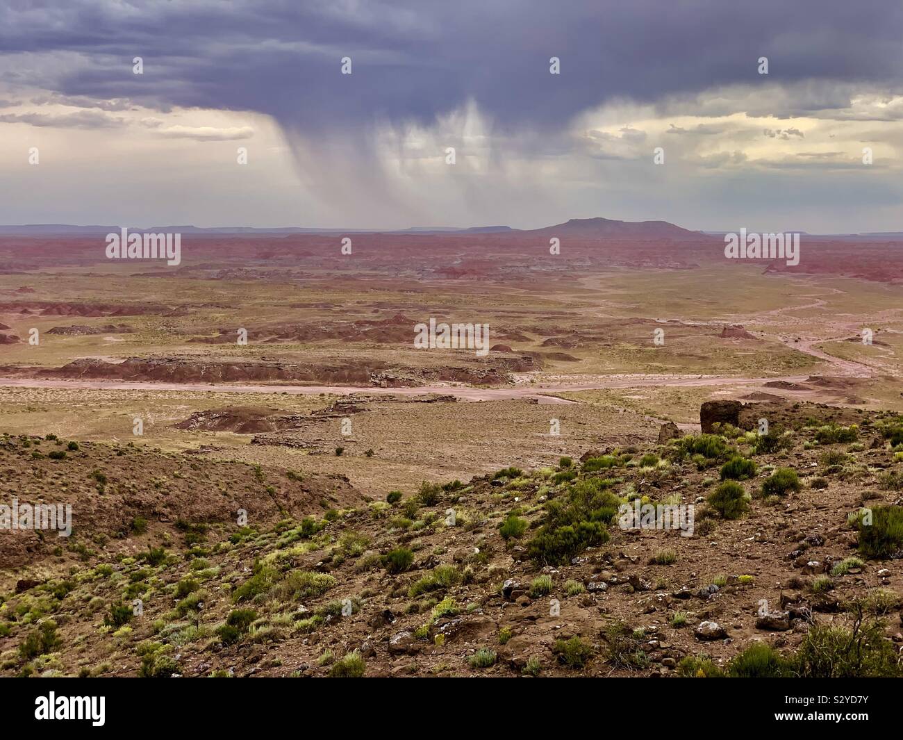 Rain storm desert hi-res stock photography and images - Alamy