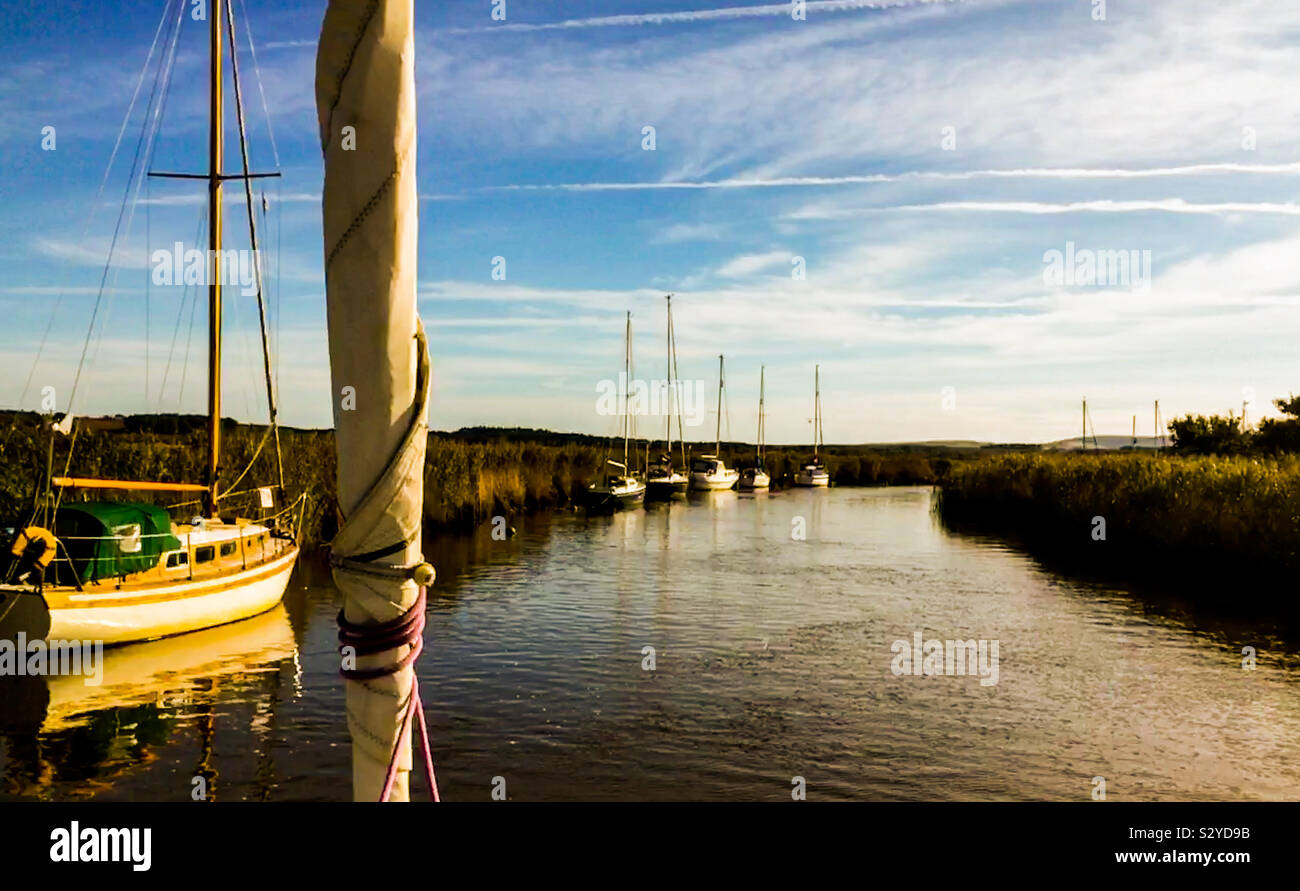 Wareham River Dorset Stock Photo - Alamy