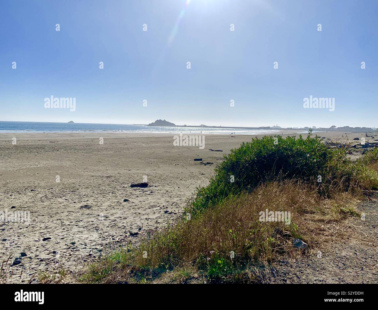Oregon beaches hi-res stock photography and images - Alamy