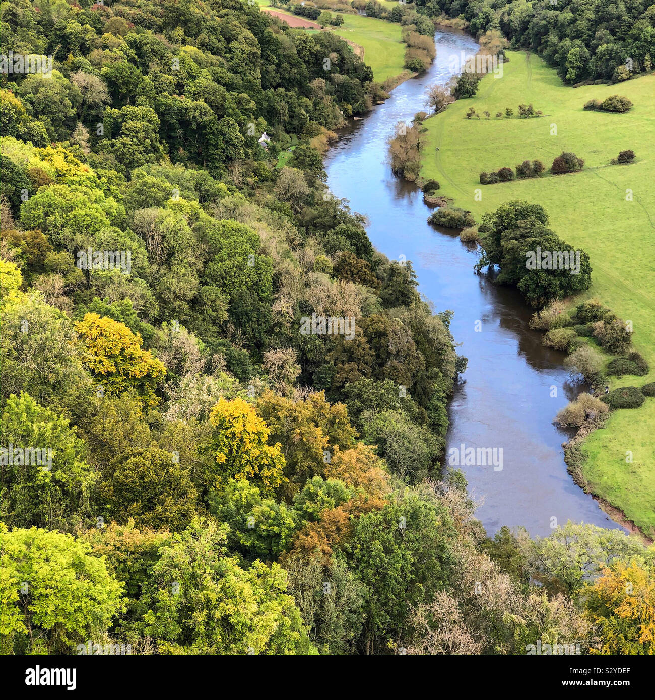 View of the river Wye from Symonds Yat Rock Stock Photo - Alamy