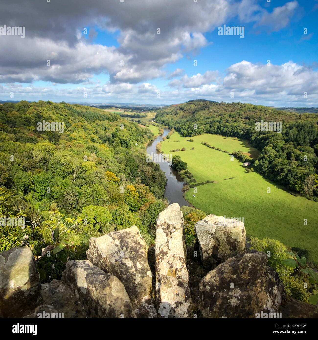 View of the river Wye from Symonds Yat Rock Stock Photo - Alamy