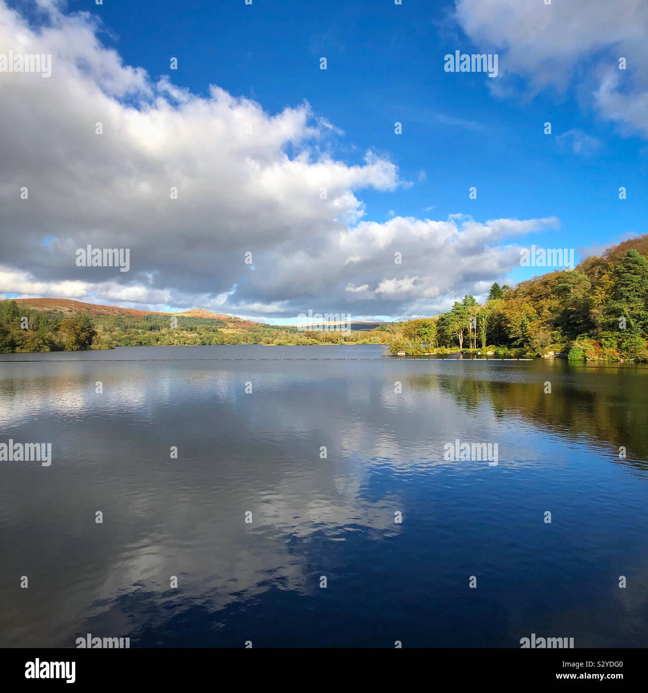 Burrator reservoir in Dartmoor National Park Stock Photo - Alamy