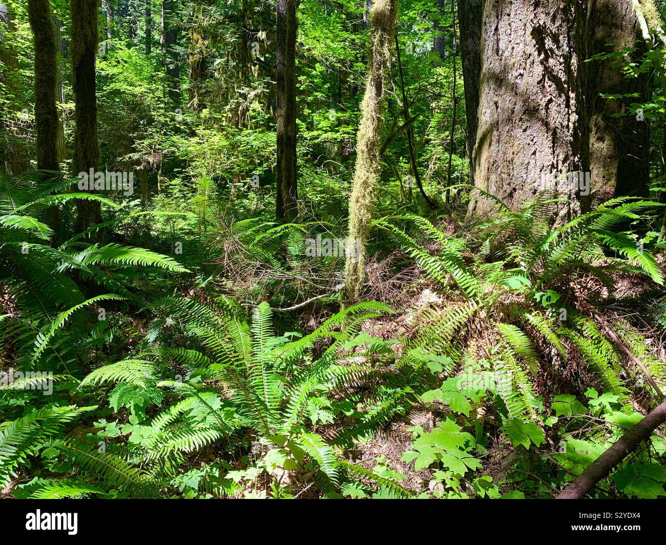 High Valley hike Stock Photo - Alamy