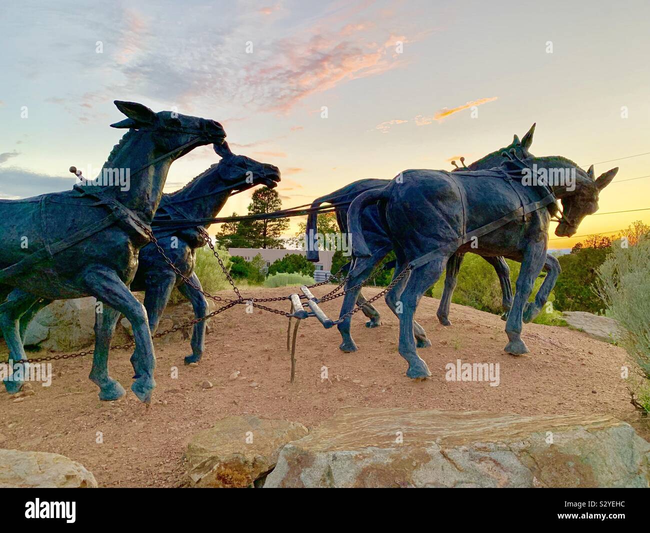 Team horses hi-res stock photography and images - Alamy