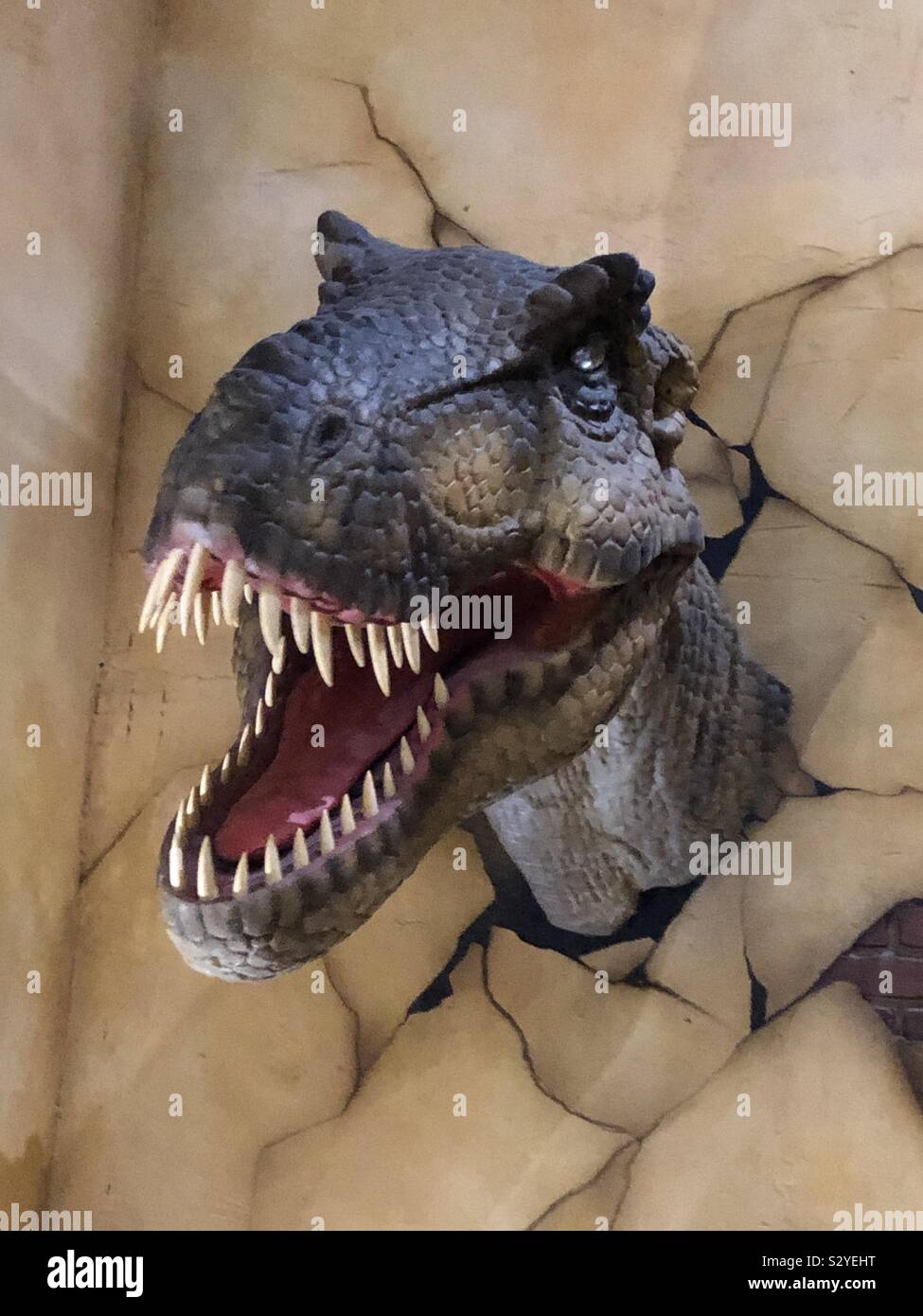 Dinosaur Sharp Teeth