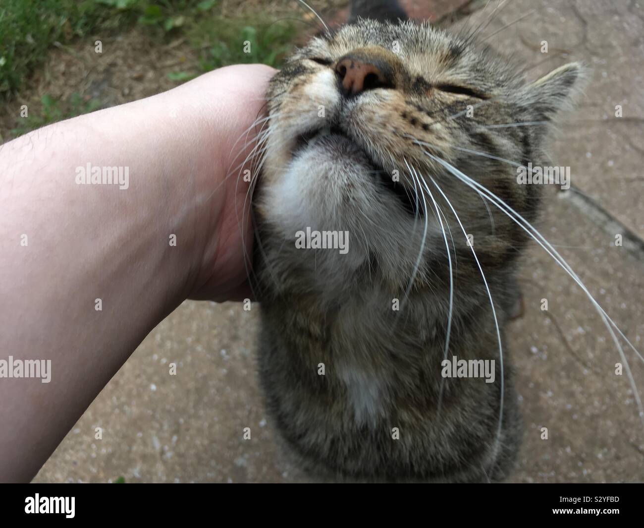 Snuggies hi-res stock photography and images - Alamy