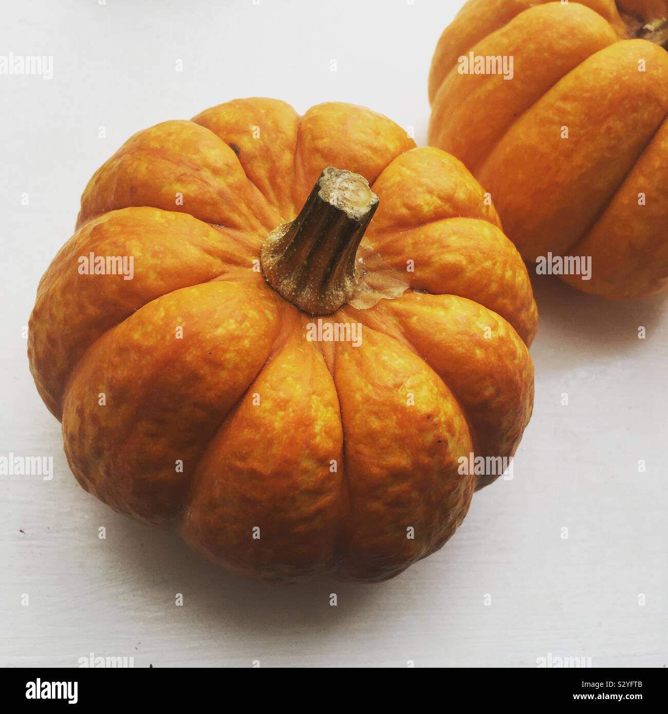 Small pumpkin squash hi-res stock photography and images - Alamy