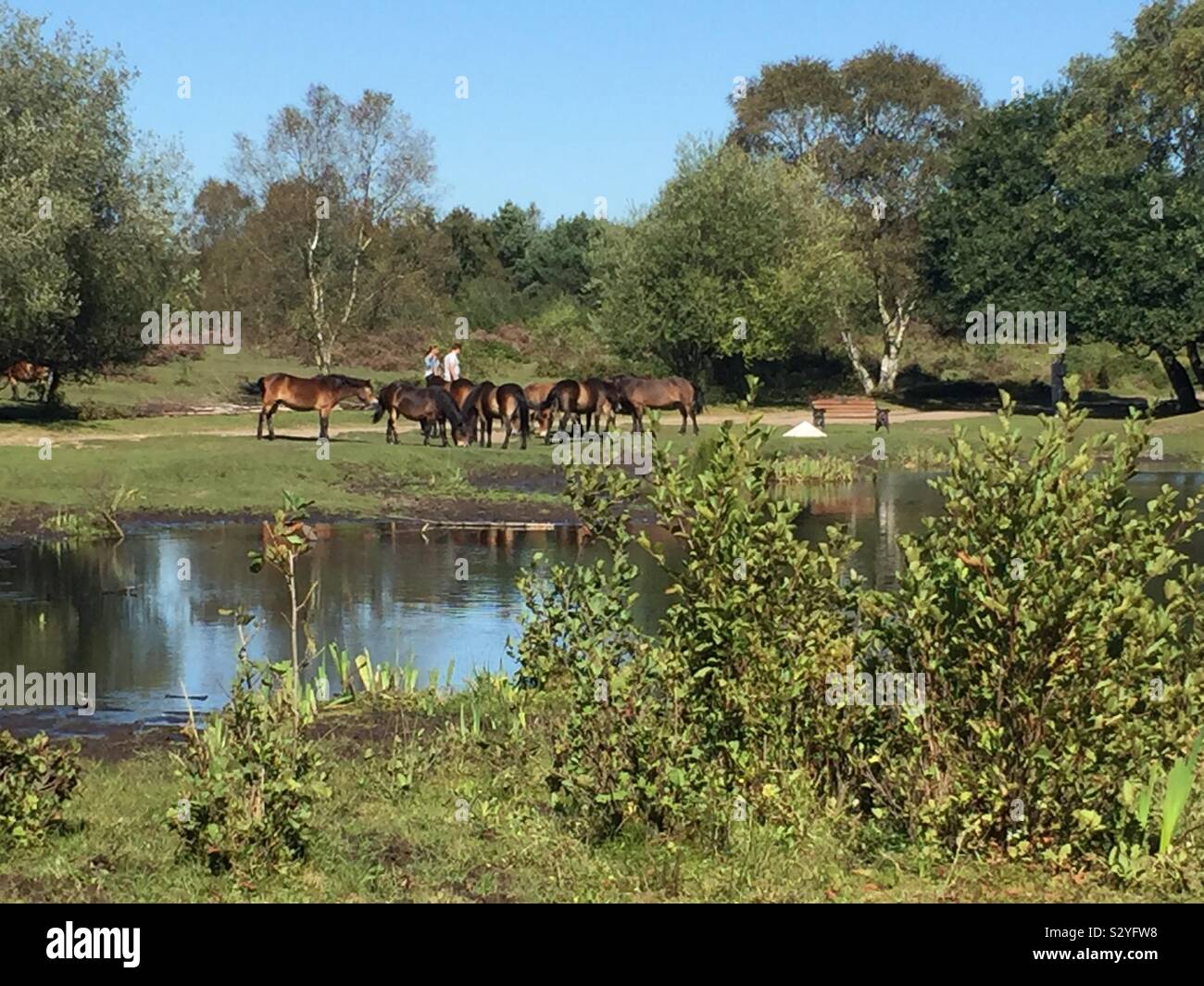 For sutton park hi-res stock photography and images - Alamy
