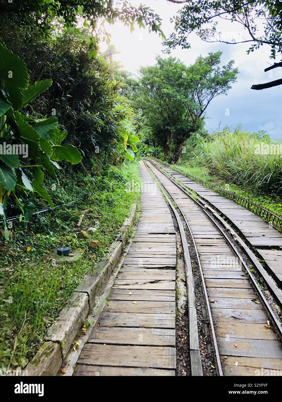 Train tracks into the jungle in Taiwan Stock Photo - Alamy