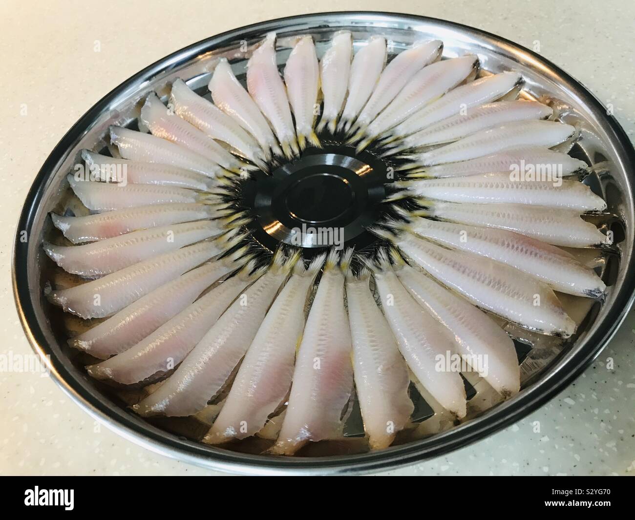 Smelt fish hi-res stock photography and images - Alamy