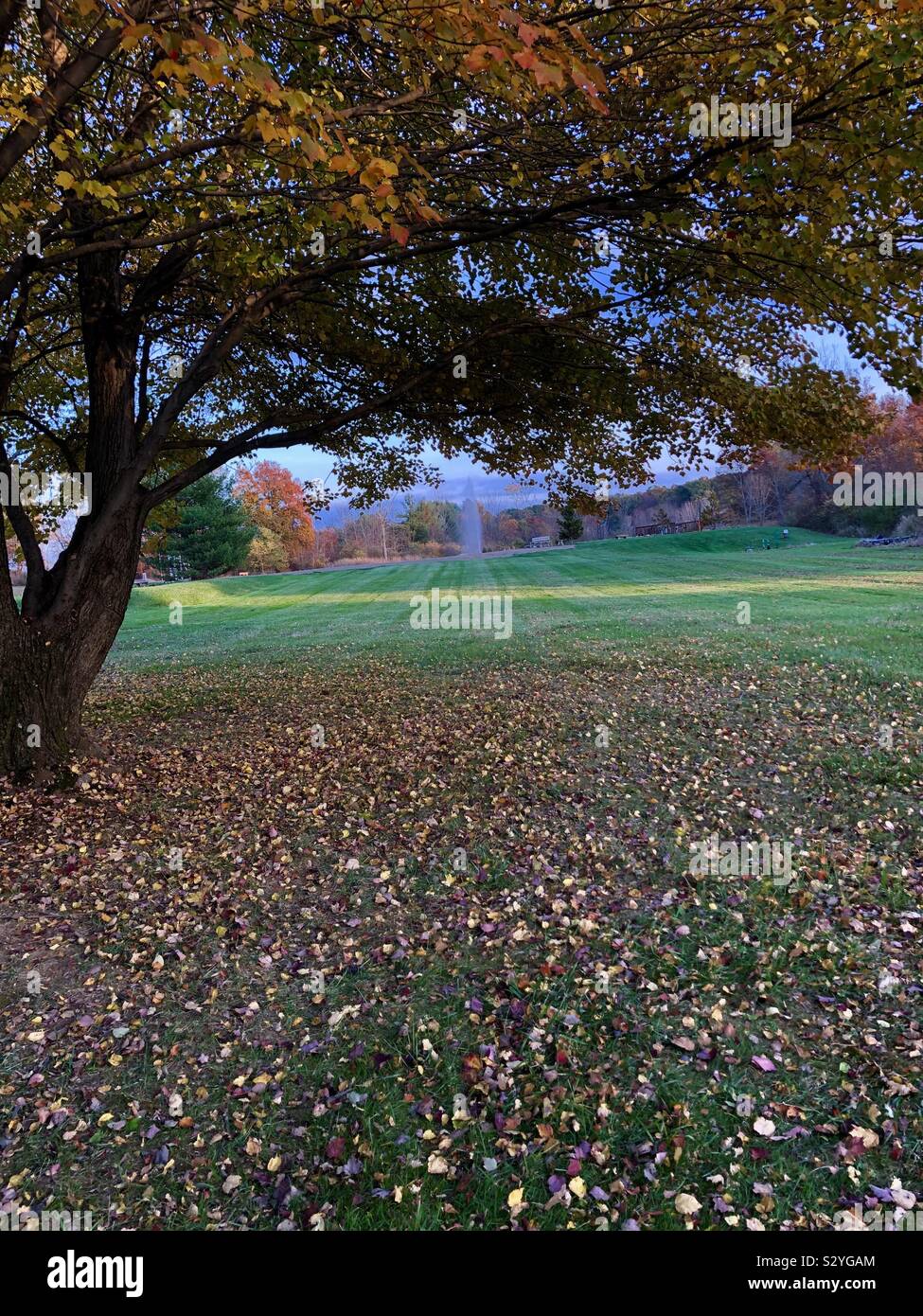 Yard colors hi-res stock photography and images - Alamy