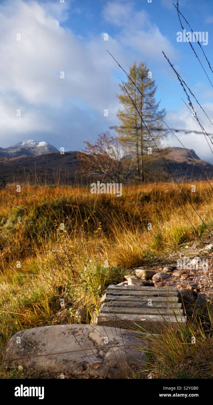 Walking path Scotland Stock Photo - Alamy