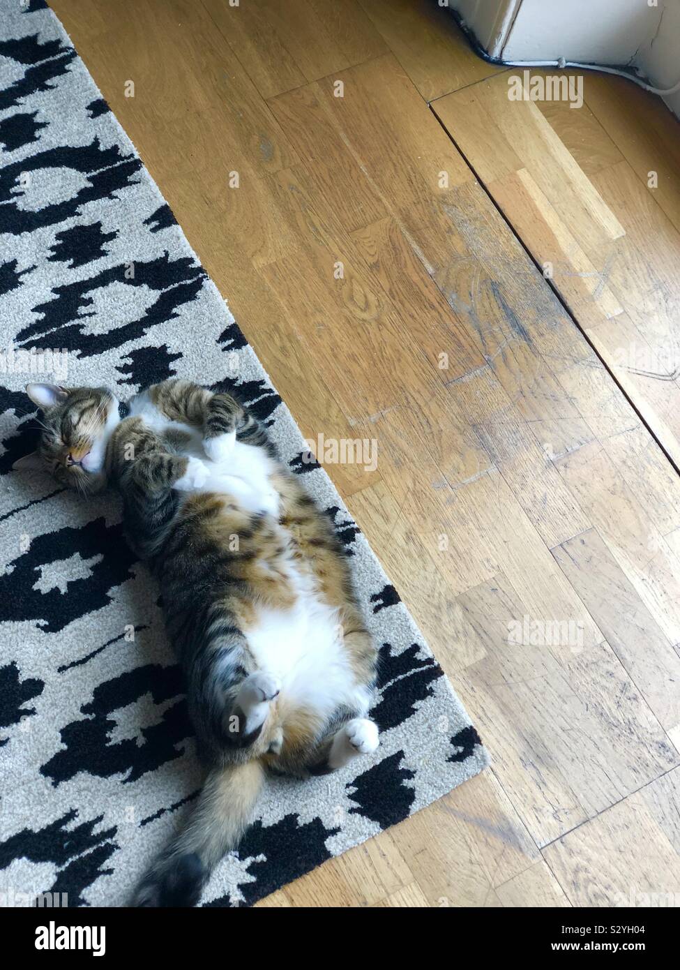 Lazy sunday hi-res stock photography and images - Alamy